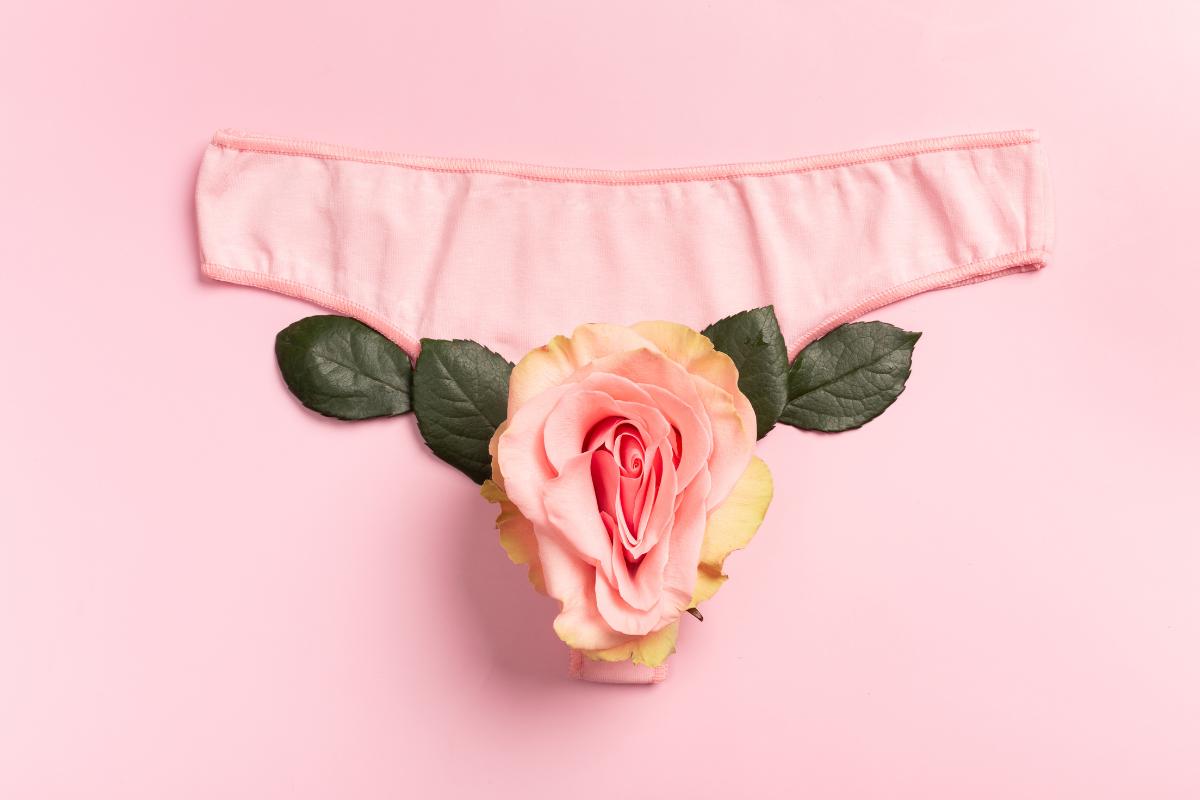 Tipos de vaginas: descubra as variações anatômicas